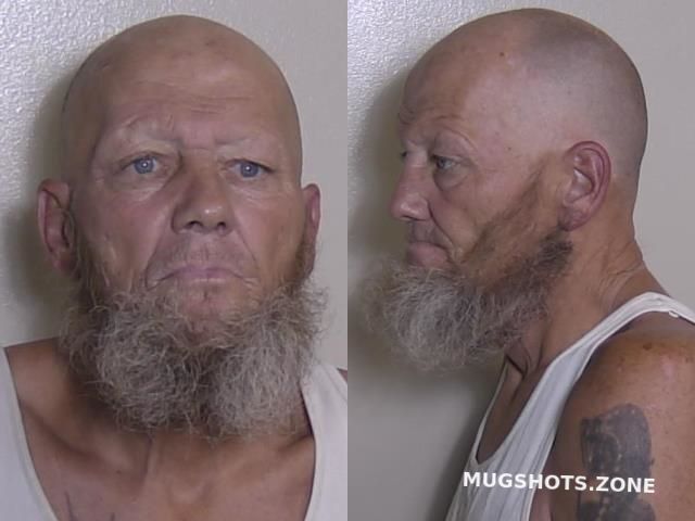 GLEASON JAMES 01/21/2025 - Madison County Mugshots Zone