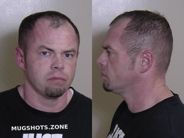 GIBSON DONALD 01/25/2025 - Madison County Mugshots Zone