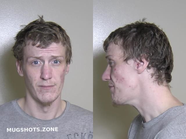 HOLMAN ROBBIE 01/29/2025 - Madison County Mugshots Zone
