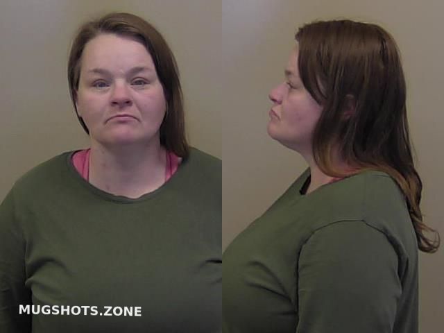 SCHNEIDER SUSAN 01/31/2025 - Madison County Mugshots Zone
