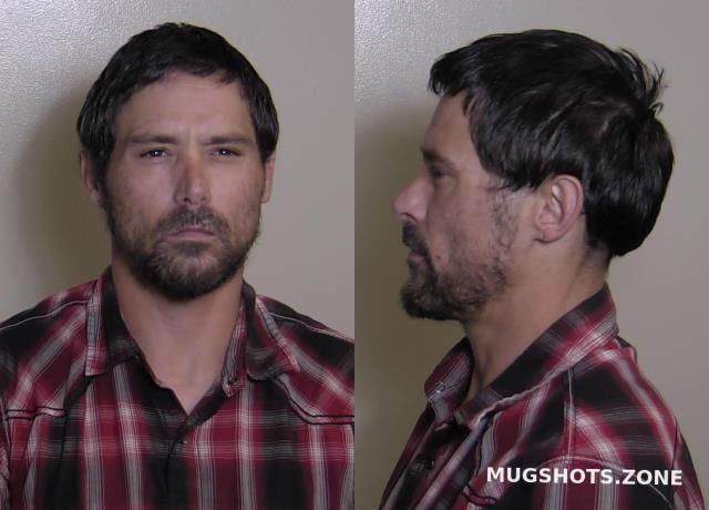 MCDANIEL LARRY 02/04/2025 - Madison County Mugshots Zone