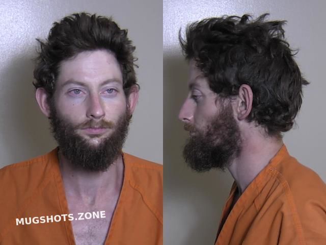 HOPKINS JACOB 02/11/2025 - Madison County Mugshots Zone
