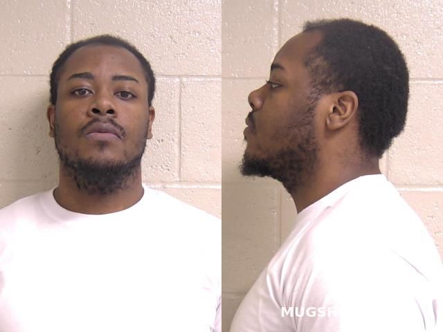 MADISON RAPHAEL 02/18/2025 - Madison County Mugshots Zone