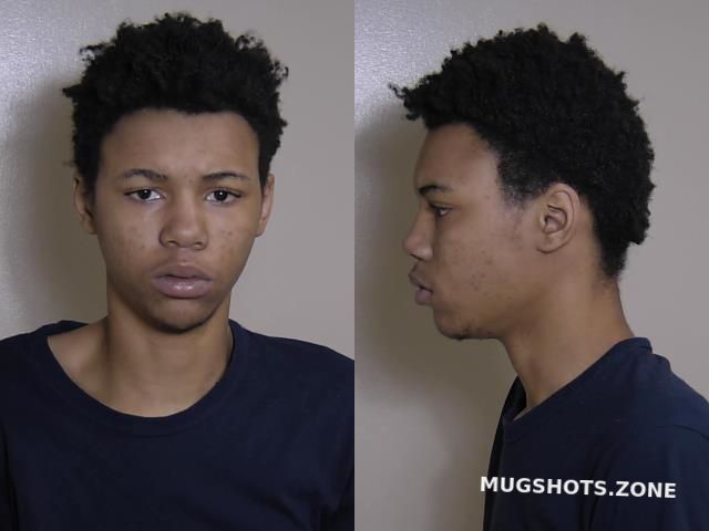 HILL DEMETRIZ 02/20/2025 - Madison County Mugshots Zone