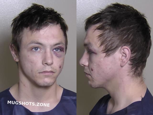 COLEMAN LUCAS 03/05/2025 - Madison County Mugshots Zone