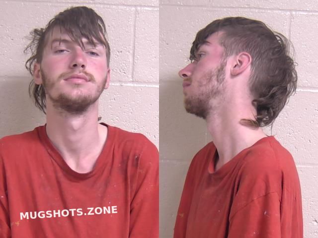 HENDRICKSON VICTOR 03/20/2025 - Madison County Mugshots Zone