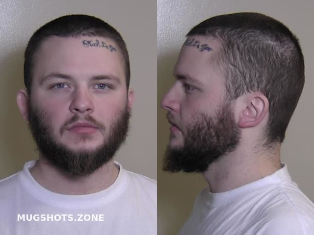 ANDREW MICHAEL 04/01/2025 - Madison County Mugshots Zone