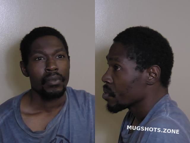 JONES CHARLES 05/13/2025 - Madison County Mugshots Zone