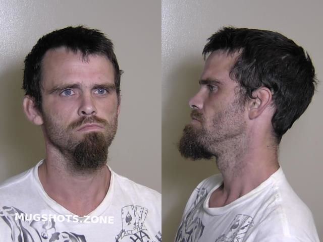 TURNER DUSTIN 05/17/2025 - Madison County Mugshots Zone