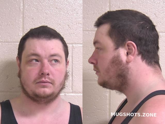 WERNER WILLIAM 06/06/2025 - Madison County Mugshots Zone