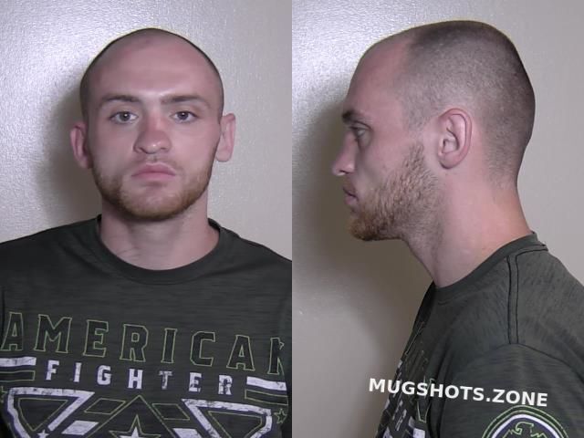 HOLLENBACK DAVID 06/20/2025 - Madison County Mugshots Zone