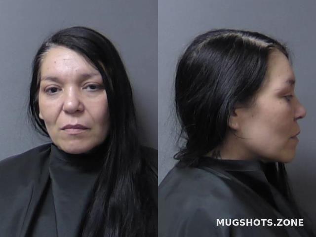 WILLIAMS YOLANDA MARIE 03/17/2023 - Madison County Mugshots Zone