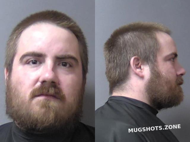 BLEVINS NICHOLAS S 06/06/2023 - Madison County Mugshots Zone