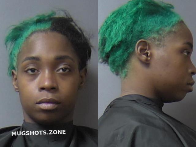 WILLIS MADISON ZION 11/22/2023 - Madison County Mugshots Zone