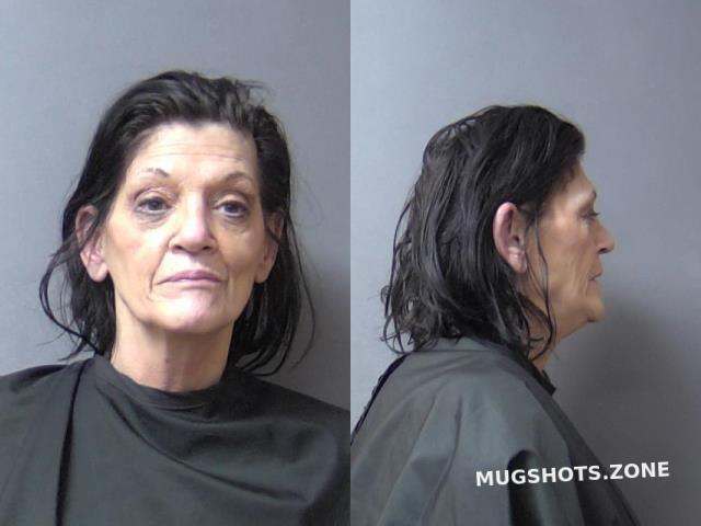 JOHNSON PAMELA S 01/08/2024 - Madison County Mugshots Zone