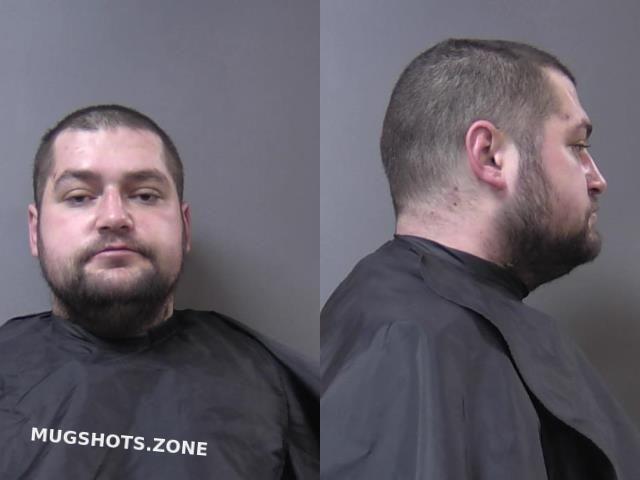 SAUL DYLAN MICHAEL 01/20/2024 - Madison County Mugshots Zone
