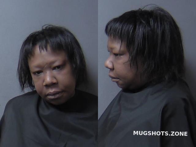 FLEMING CHRISTINA ANN 03/10/2024 - Madison County Mugshots Zone