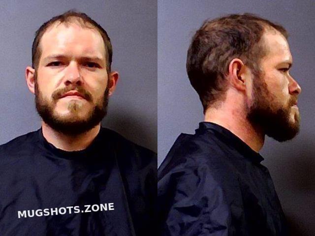 FERGUSON LOGAN TAYLOR 03/17/2024 - Madison County Mugshots Zone