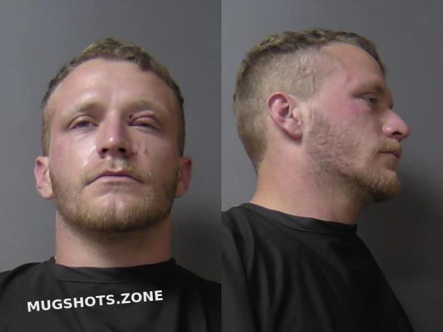 JOHNSTON BRANDON MICHAEL 03/19/2024 - Madison County Mugshots Zone