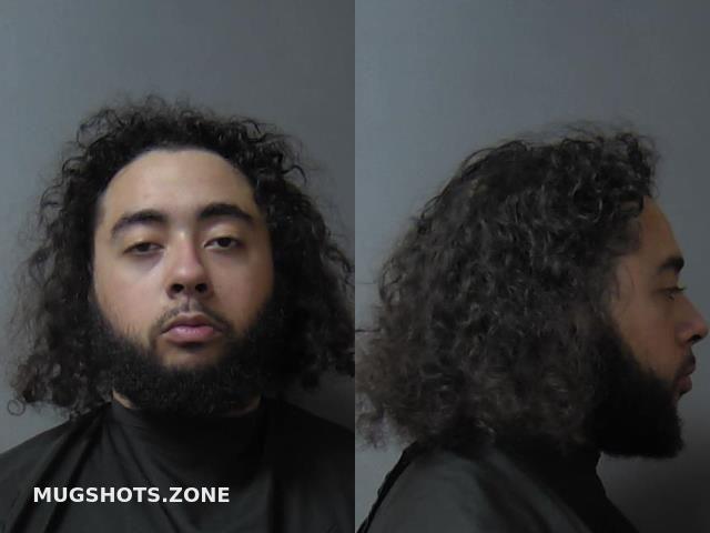 LIVINGSTON SULLIE BRUCE 04/07/2024 - Madison County Mugshots Zone