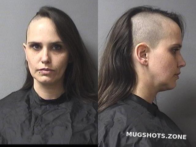 HAMM STEPHANIE LYNETTE 04/23/2024 - Madison County Mugshots Zone
