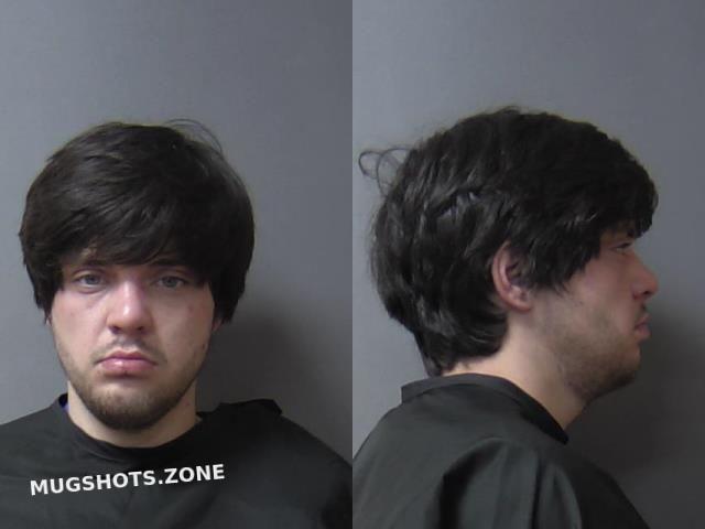 WILSON DAYTON MICHAEL 05/19/2024 - Madison County Mugshots Zone