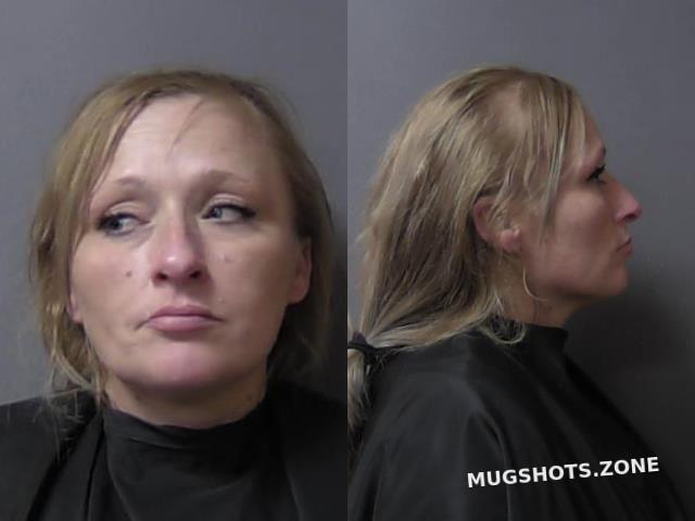 CHAMBERS HEATHER NICOLE 06/04/2024 - Madison County Mugshots Zone