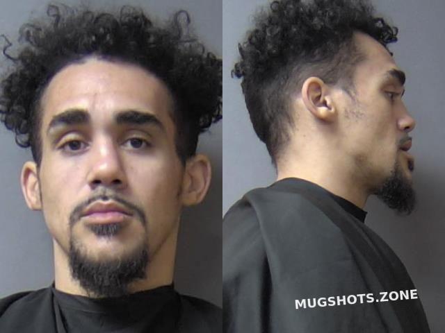 EARLY JONATHON CO 06/07/2024 - Madison County Mugshots Zone