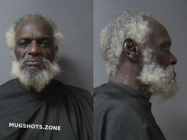 WATKINS RICKIE DEWAYNE 07/29/2024 - Madison County Mugshots Zone