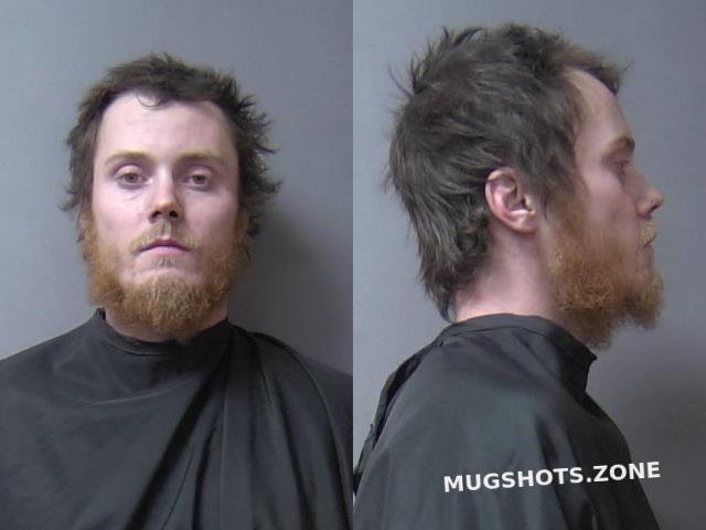 WHEELER AARON JAMES 11/23/2024 - Madison County Mugshots Zone