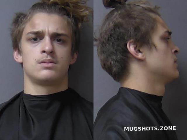 RENTAS BLAKE ALEXANDER 12/17/2024 - Madison County Mugshots Zone
