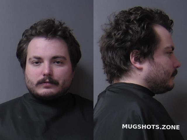 STIER DOMENYK WILLIAM-PAUL 12/20/2024 - Madison County Mugshots Zone