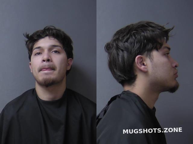 REYES DRAKE ANGEL 01/01/2025 - Madison County Mugshots Zone