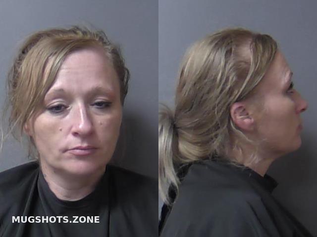 CHAMBERS HEATHER NICOLE 02/02/2025 - Madison County Mugshots Zone