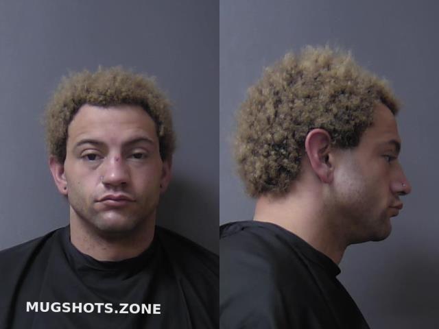 HELMICK JUSTIN ANDREW 02/27/2025 - Madison County Mugshots Zone