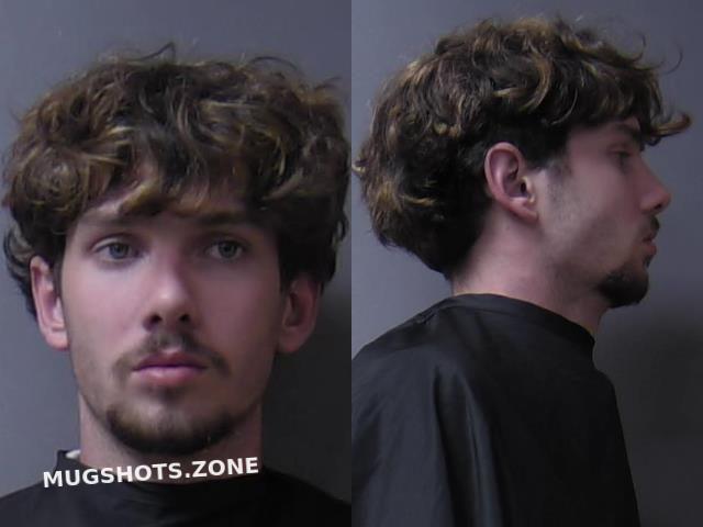 ANDERSON DAVID LUCA 03/03/2025 - Madison County Mugshots Zone