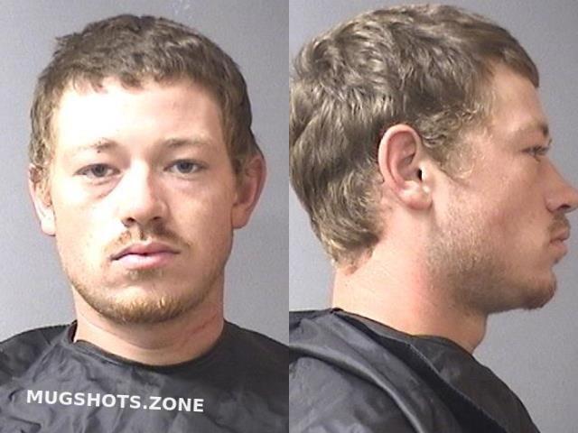 WELSH COLT HOLIDAY 03/03/2025 - Madison County Mugshots Zone