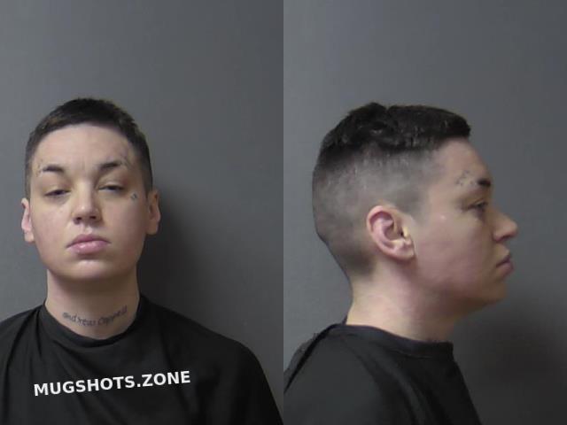 THOMAS AMANDA RENNE 04/17/2025 - Madison County Mugshots Zone