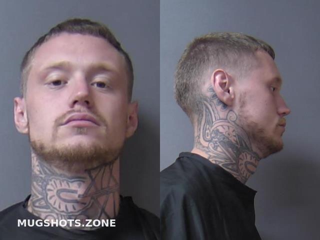 LUDINGTON JASON TYLER 04/25/2025 - Madison County Mugshots Zone