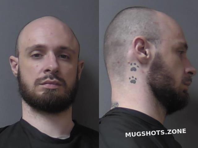 DAVIDSON DANIEL THOMAS 06/13/2025 - Madison County Mugshots Zone