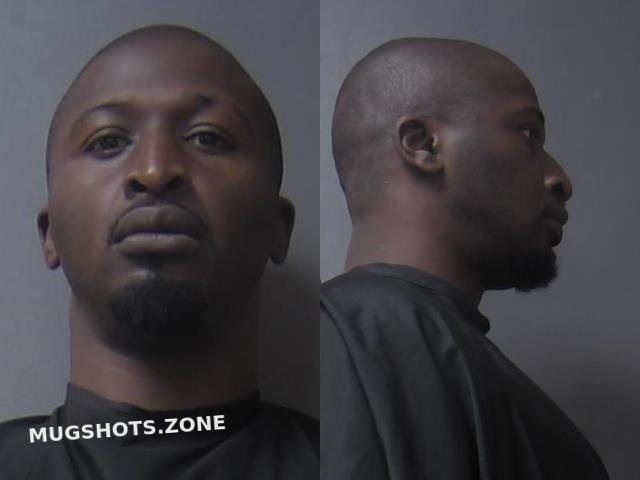 ANDERSON TERRY LYNN JUNIOR 08/15/2025 - Madison County Mugshots Zone