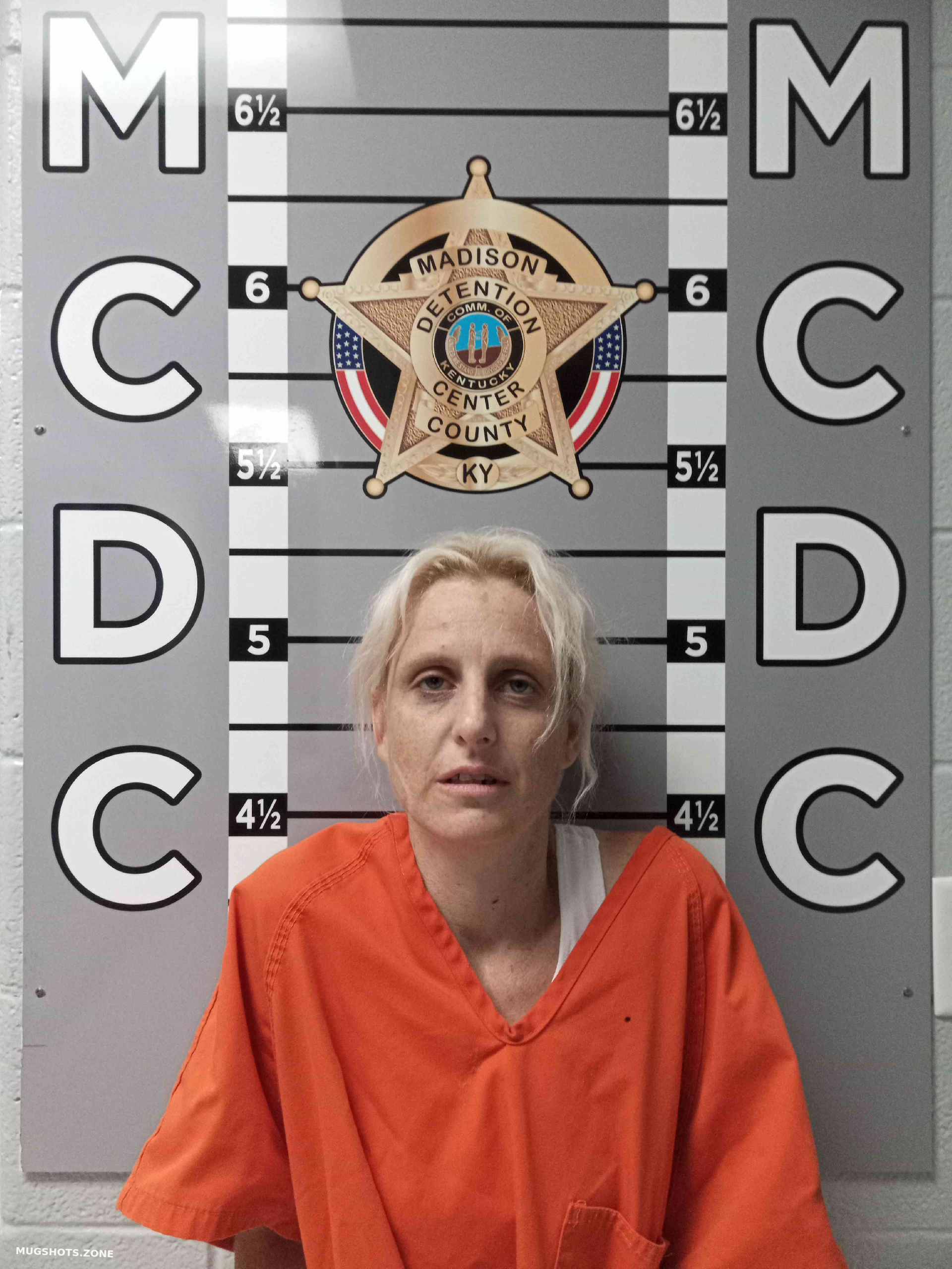 HIGGINS JOHNNA 02/17/2025 - Madison County Mugshots Zone