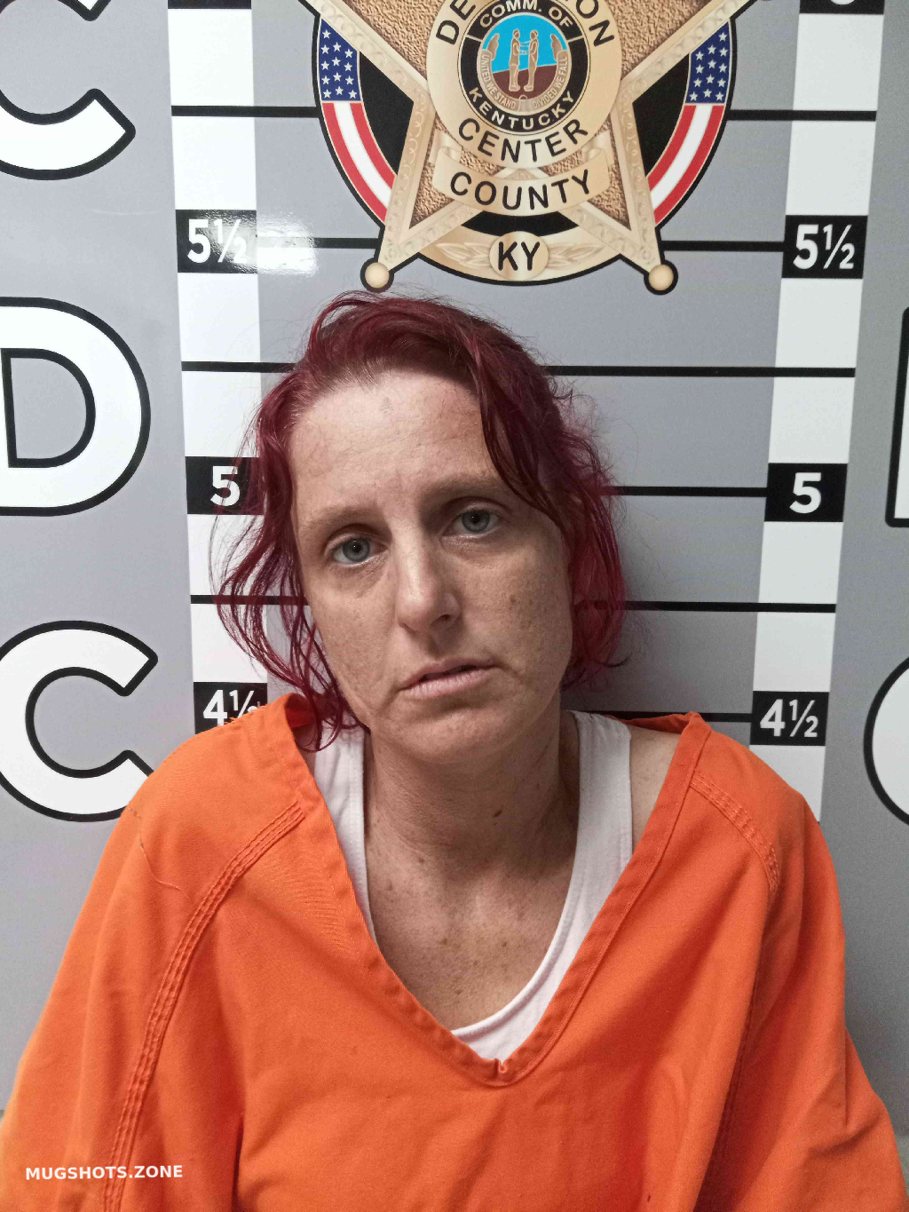 HIGGINS JOHNNA 06/29/2025 - Madison County Mugshots Zone