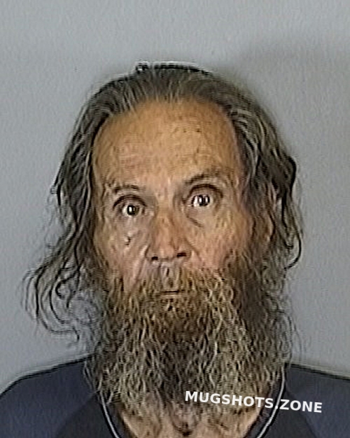 DEWITT HENRY 03/30/2021 - Manatee County Mugshots Zone