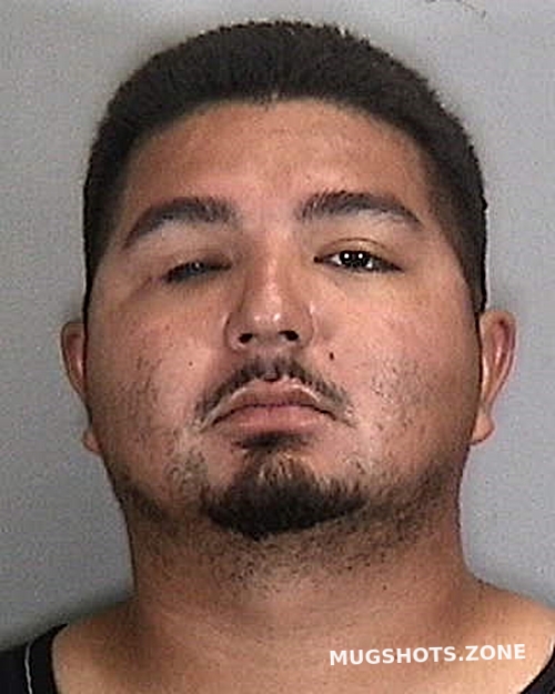 REYES ROBERT 04/01/2021 - Manatee County Mugshots Zone