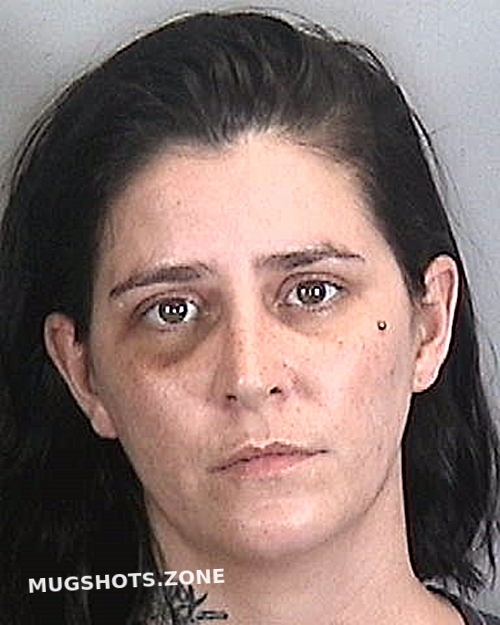 HOSTETLER COURTNEY L 04/20/2021 - Manatee County Mugshots Zone