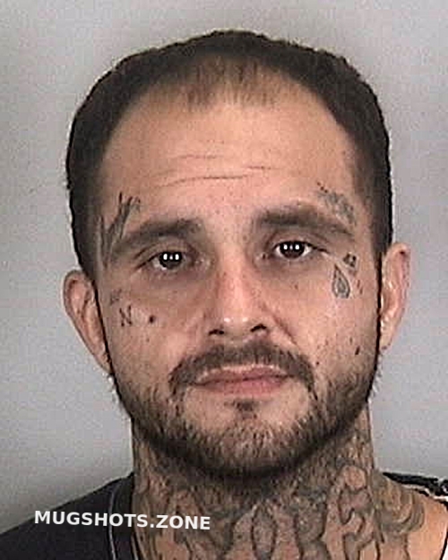 WORKMAN MICHAEL I 04/29/2021 - Manatee County Mugshots Zone