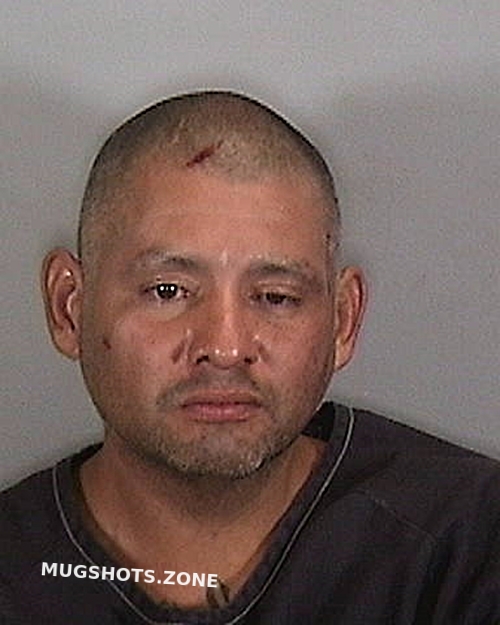 RUIZ LUIS A 06/11/2021 - Manatee County Mugshots Zone