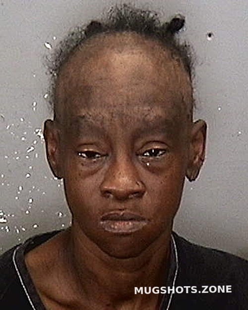 ADAMS DEBRA A 06/24/2021 - Manatee County Mugshots Zone