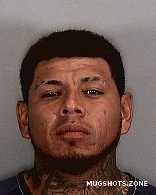 GOMEZ EMILIO 08/05/2021 - Manatee County Mugshots Zone